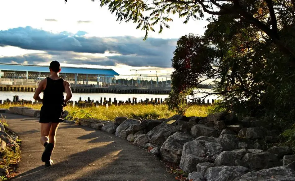 Marathon Race Training: Build Endurance & Confidence