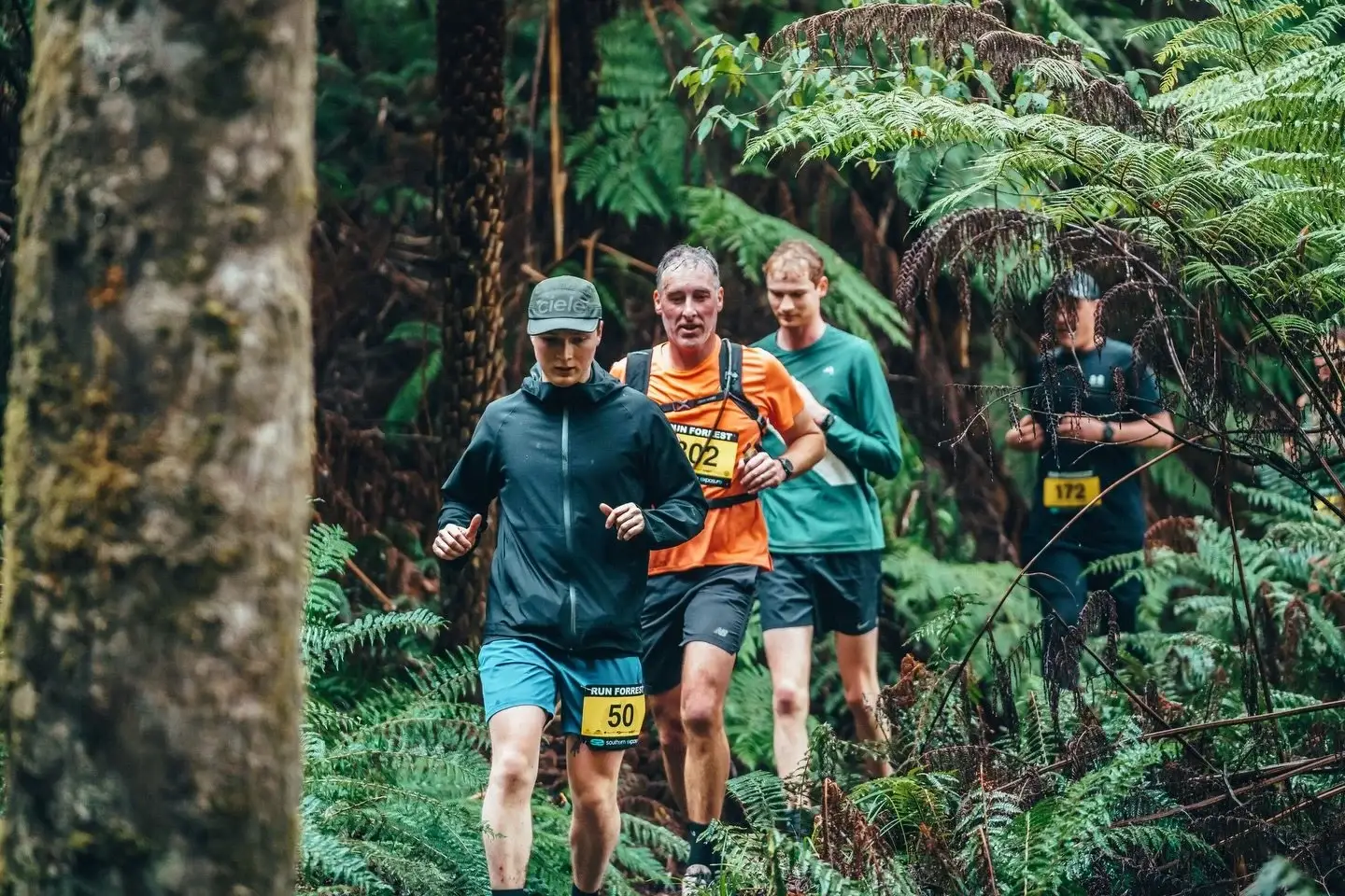 Run Forrest Trail Run 2026 - SportCoaching